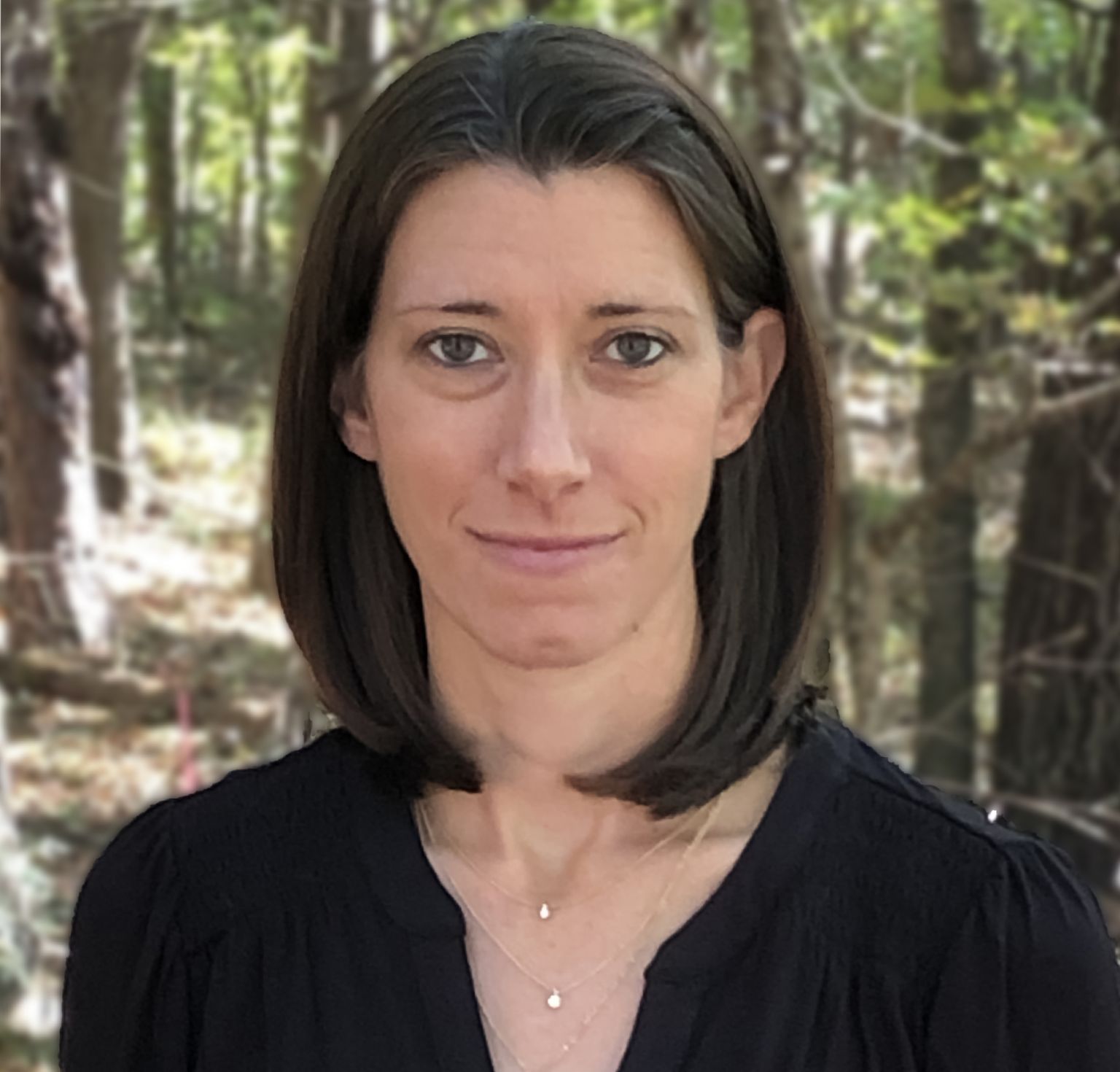 Meet DriWay's Global Leadership Team, Led by CEO, Roy Judelson